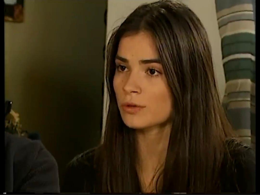 Ljubav, navika, panika (2005)