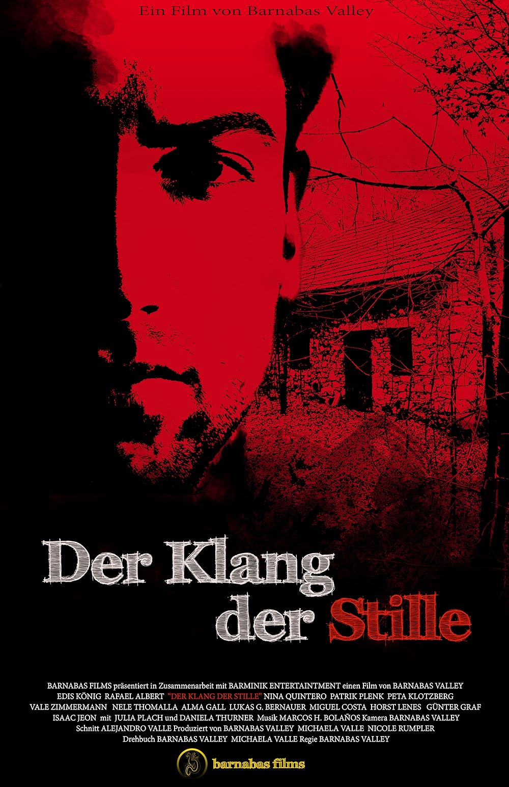 Der Klang der Stille (2016) - IMDb