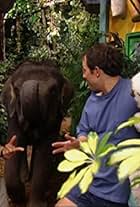Martin Kratt - IMDb