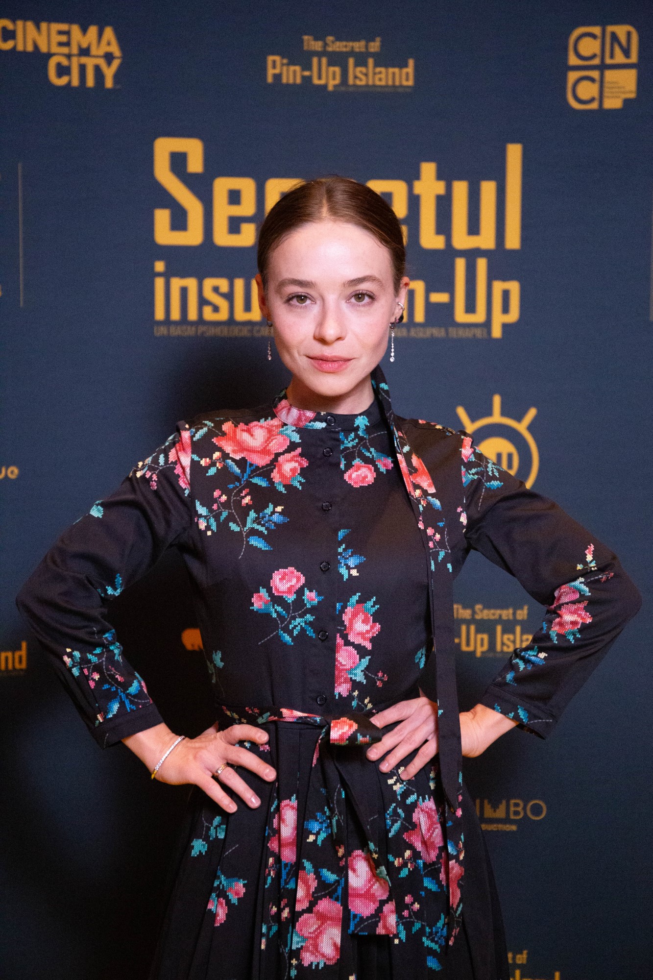 The Secret of Pin-Up Island (2024)