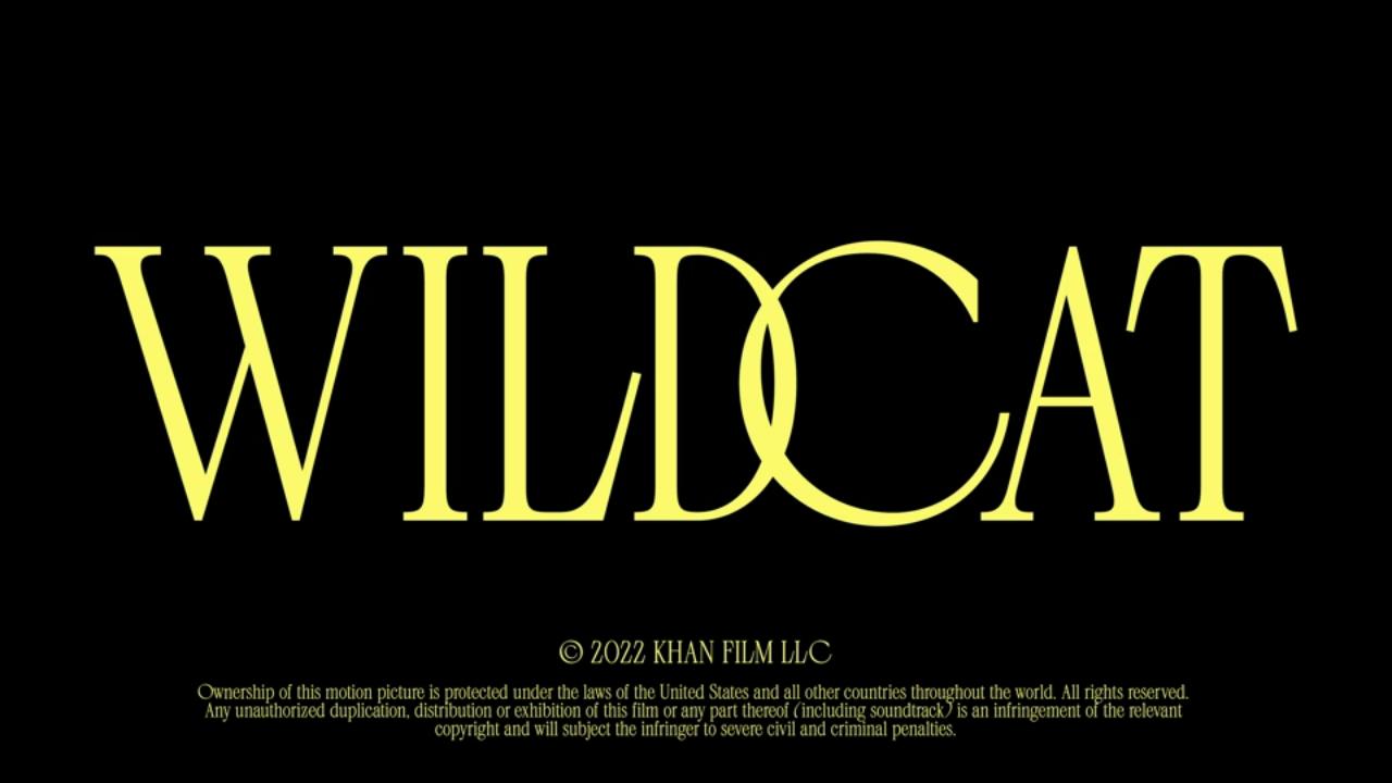 Wildcat (2022)