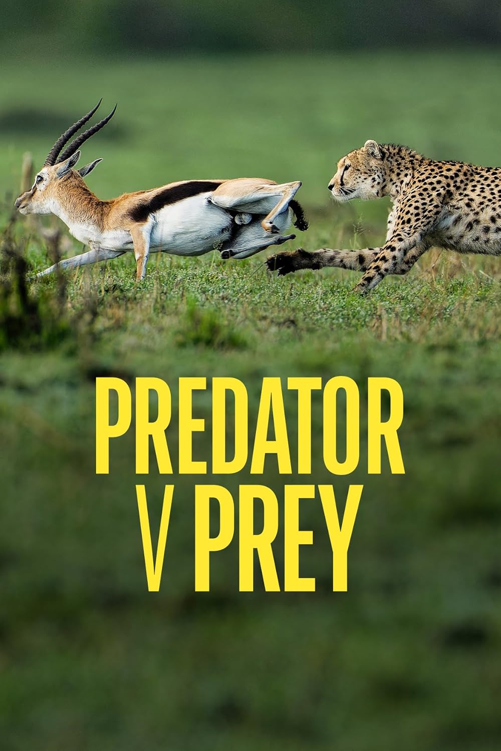 Predator v Prey (TV Series 2024– ) - IMDb