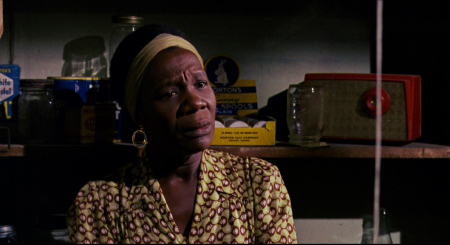 In the Heat of the Night (1967)