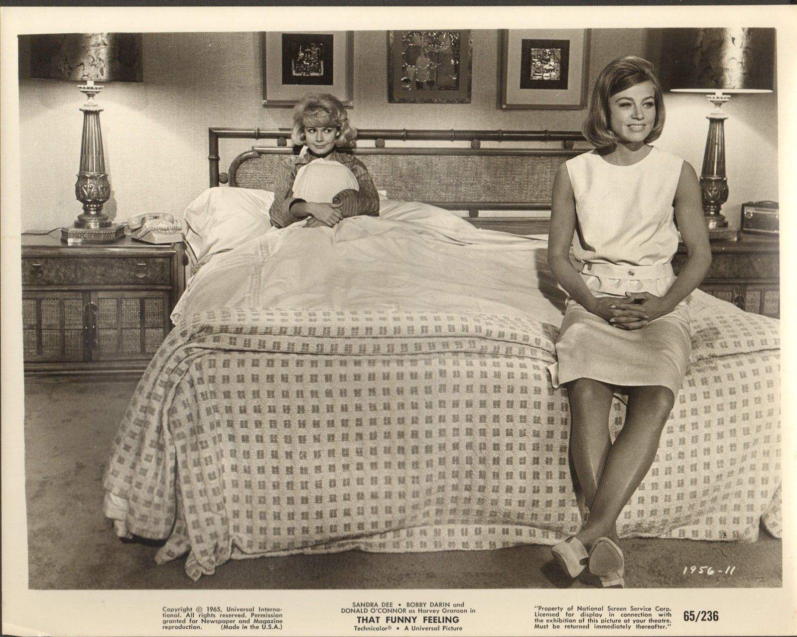 That Funny Feeling (1965)