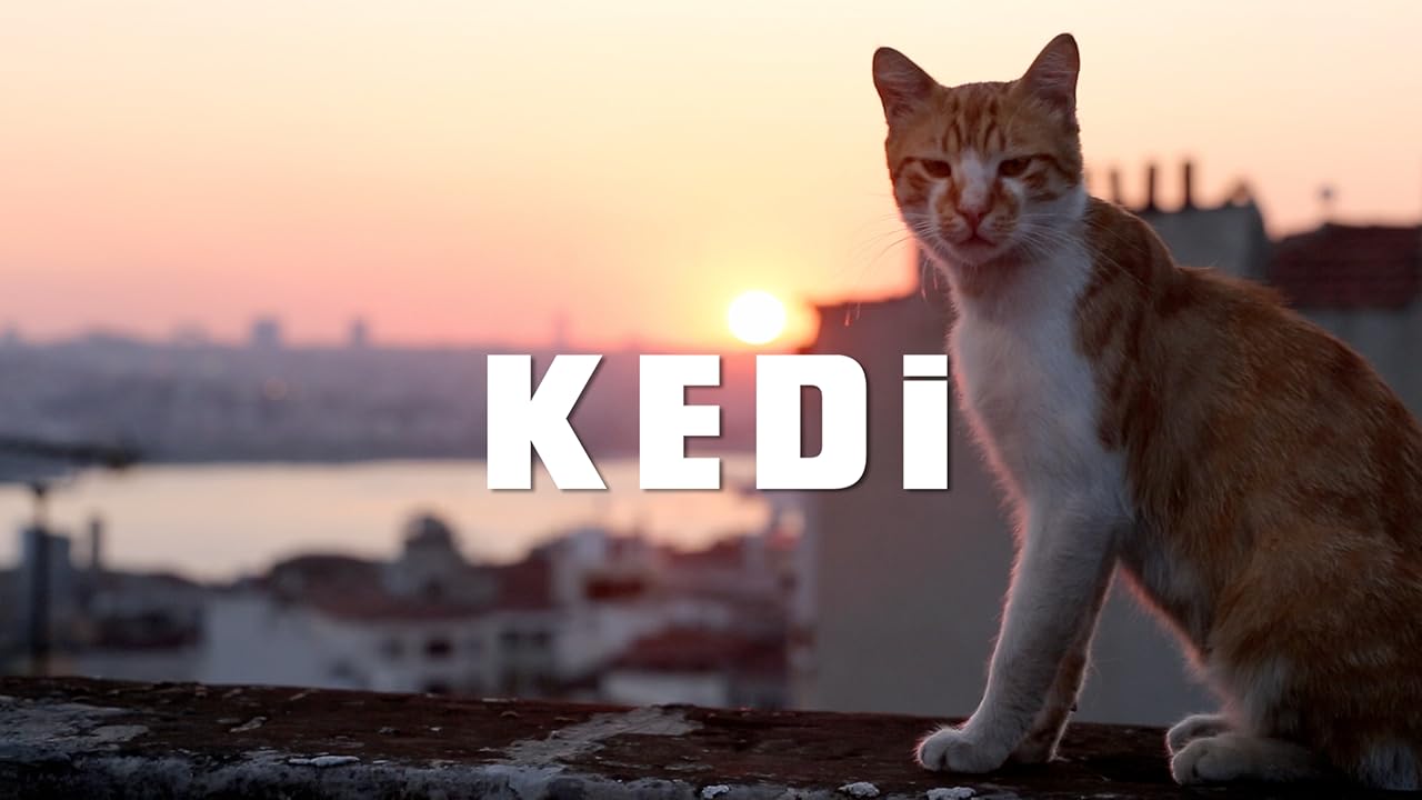 Kedi (2016)