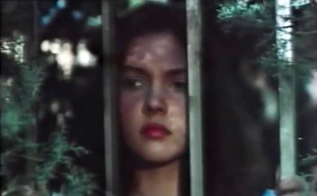 Suggestionata (1978)