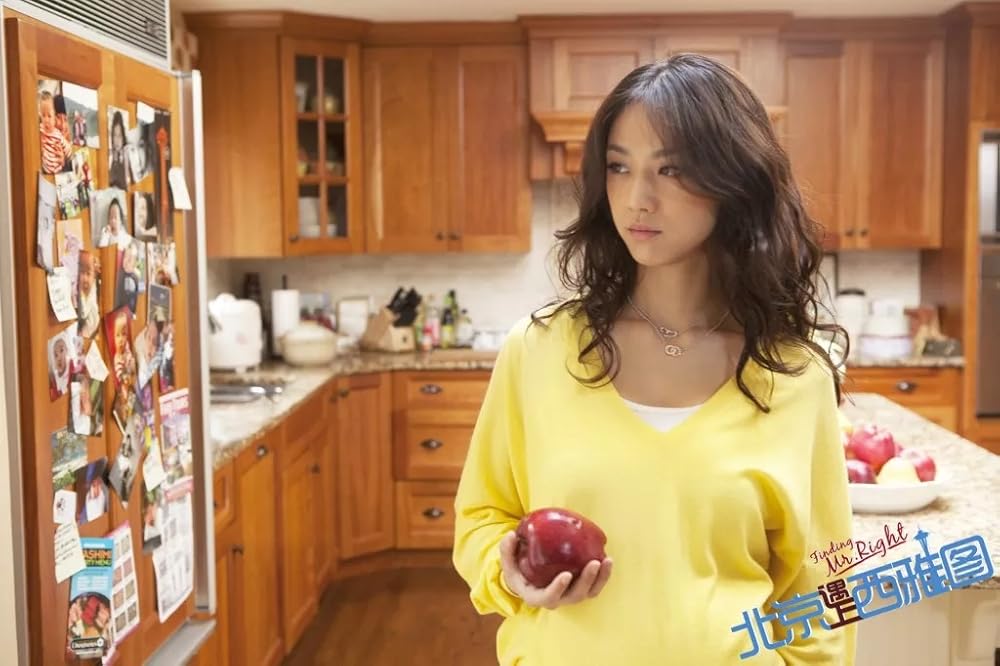 Finding Mr. Right (2013)