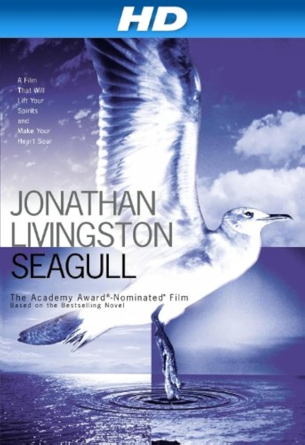 Jonathan Livingston Seagull (1973)
