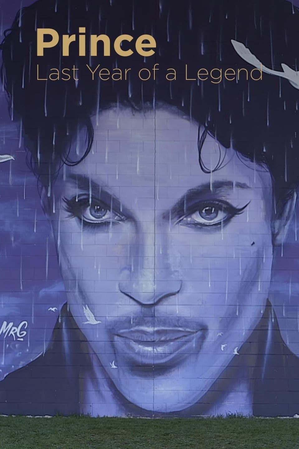 Prince: Last Year of a Legend (2018)