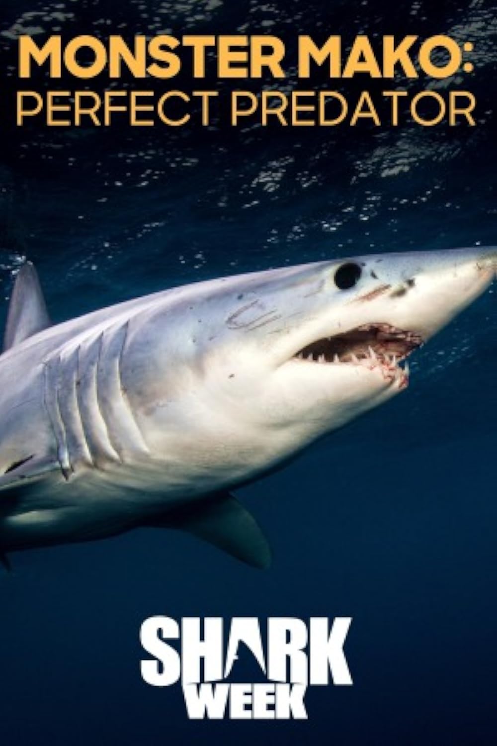 "Shark Week" Monster Mako: Perfect Predator (TV Episode 2019) - IMDb