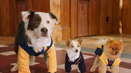 Pup Academy (TV Series 2019) - Episode list - IMDb