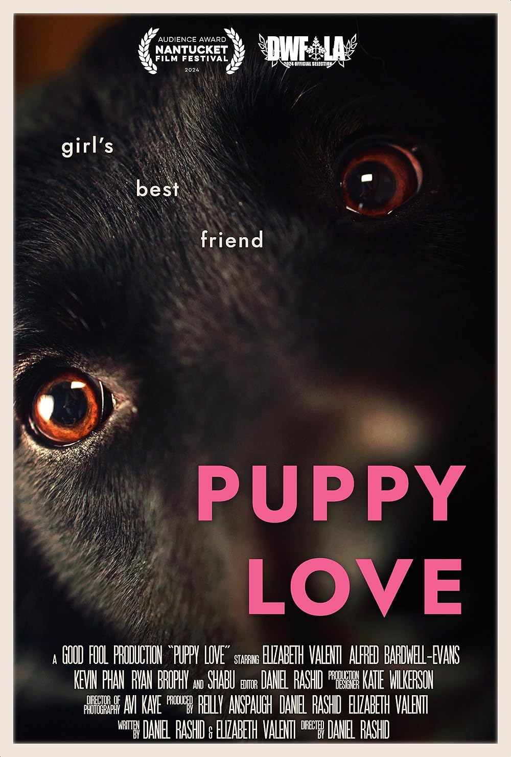 Puppy Love (Short 2024) - IMDb