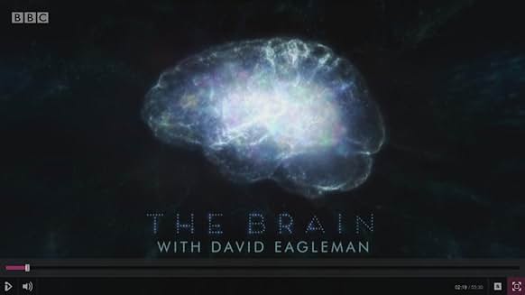 The Brain with Dr. David Eagleman (TV Series 2015– ) - IMDb