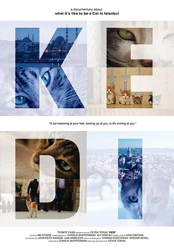 Kedi (2016)