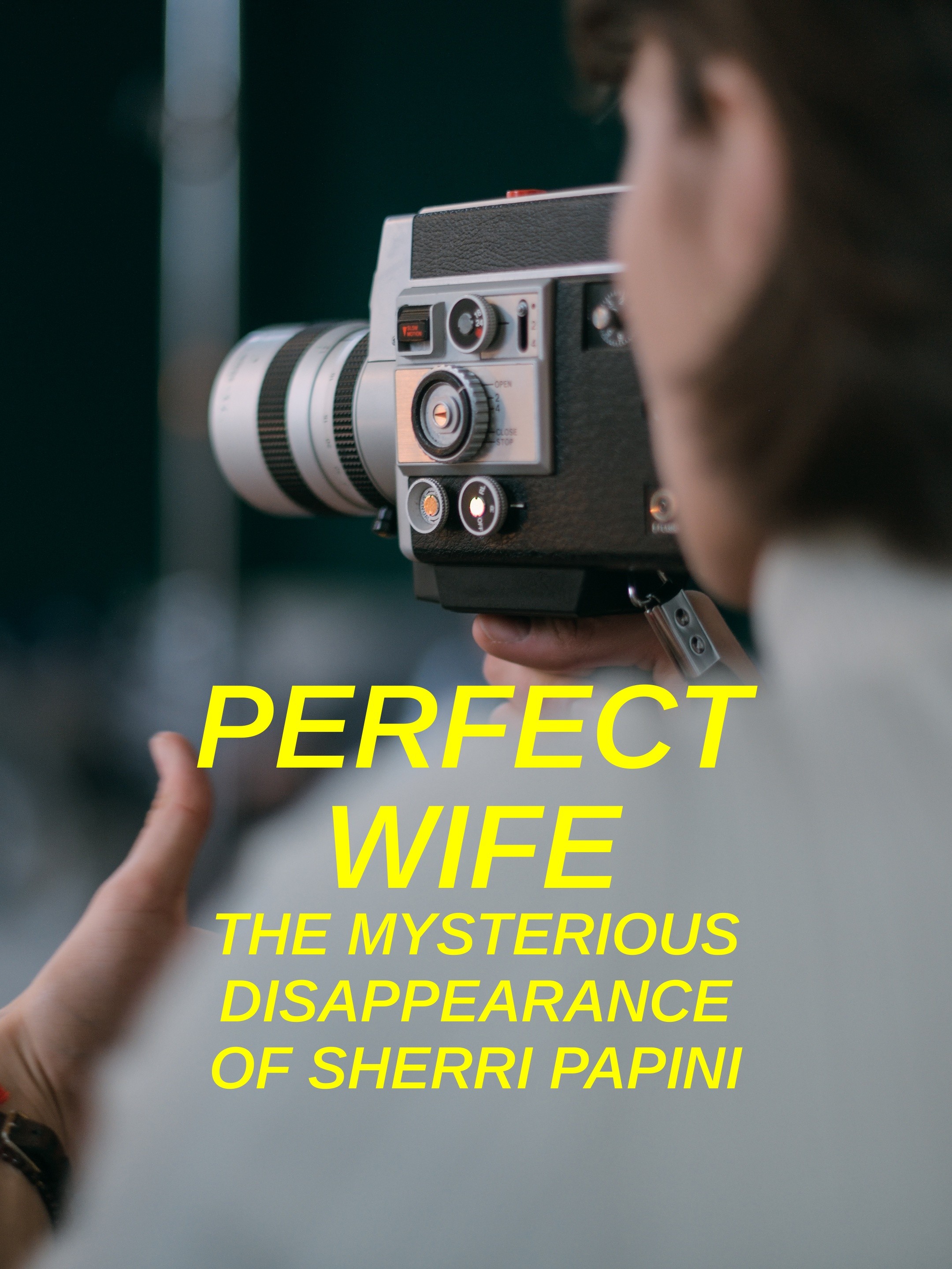 Perfect Wife: The Mysterious Disappearance of Sherri Papini (2024)