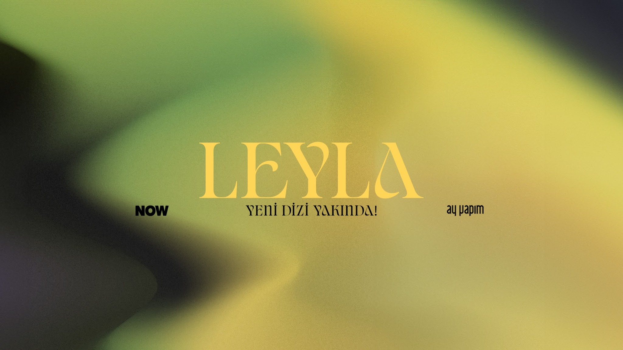 Leyla (2024)