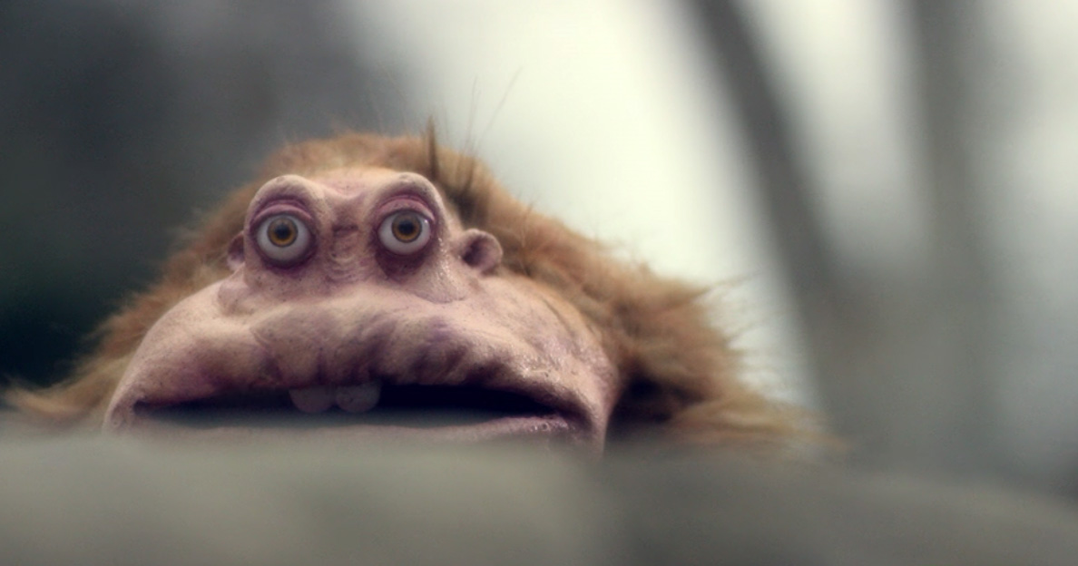 Must Feed and Water (2015)