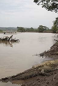 "72 Dangerous Animals: Latin America" Stop! Danger Ahead (Episodio de ...