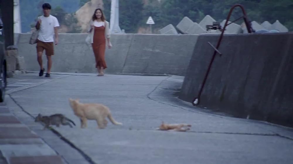 The Cats of Gokogu Shrine - Trailer [OV] | IMDb