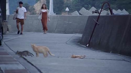 The Cats of Gokogu Shrine (2024) - IMDb