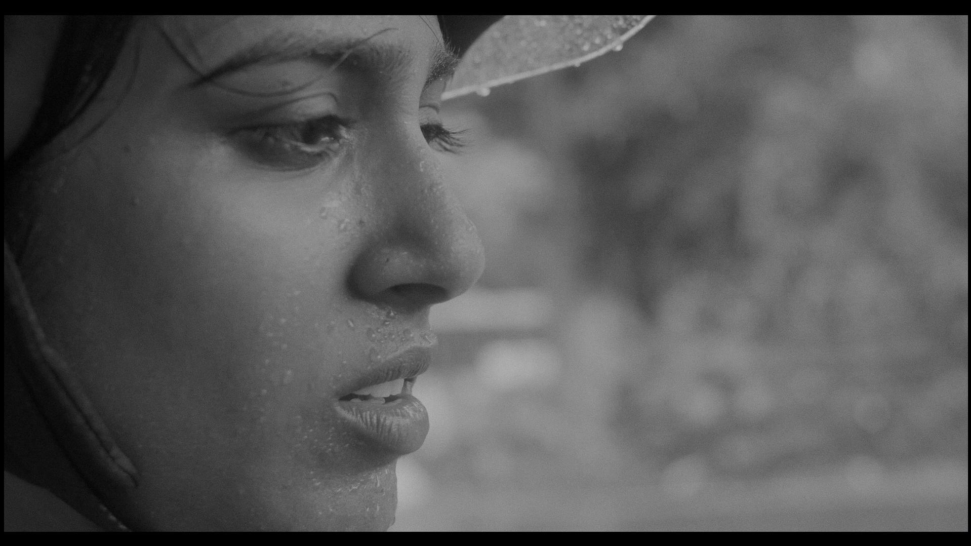 Bringing Back the Growl (2024)