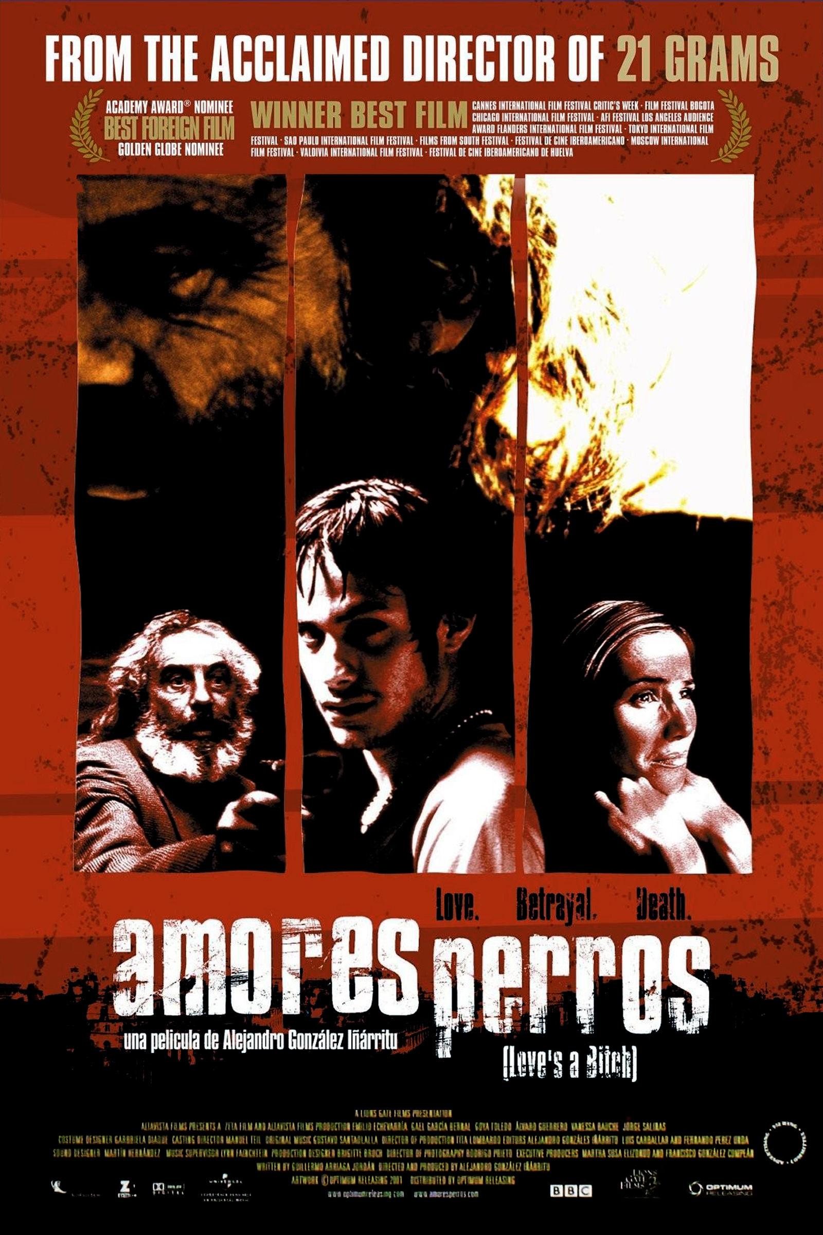 Amores Perros (2000)
