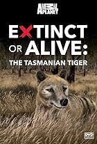 Mysterious Creatures with Forrest Galante (TV Series 2021– ) - IMDb