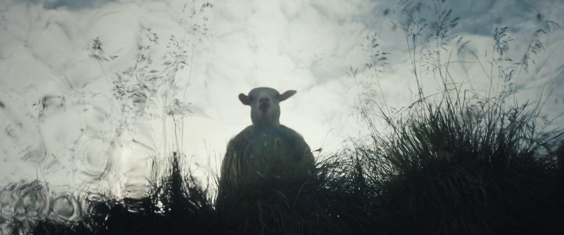 Lamb (2021)