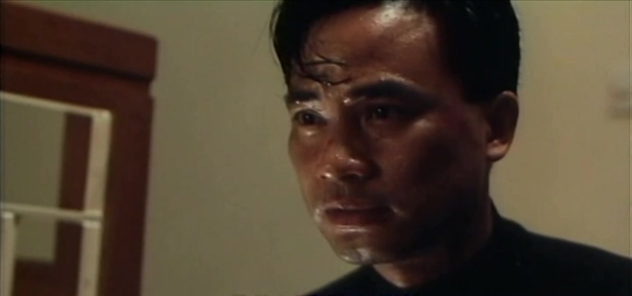 Don't Stop My Crazy Love for You (1993)