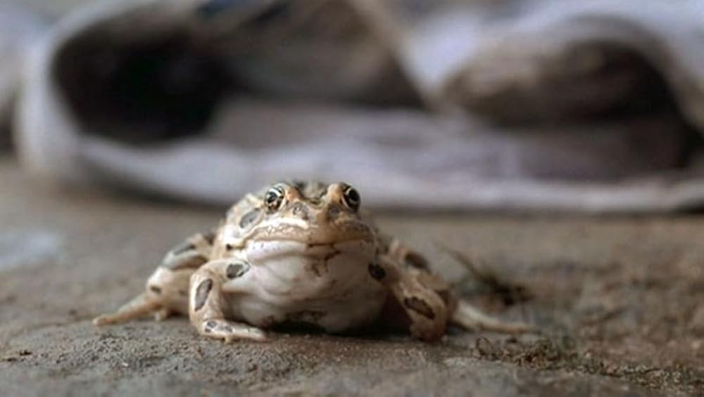 O Brother, Where Art Thou? (2000)