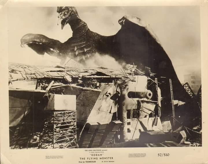 Rodan (1956)