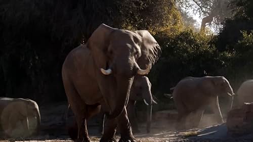 Secrets of the Elephants (TV Mini Series 2023) - IMDb