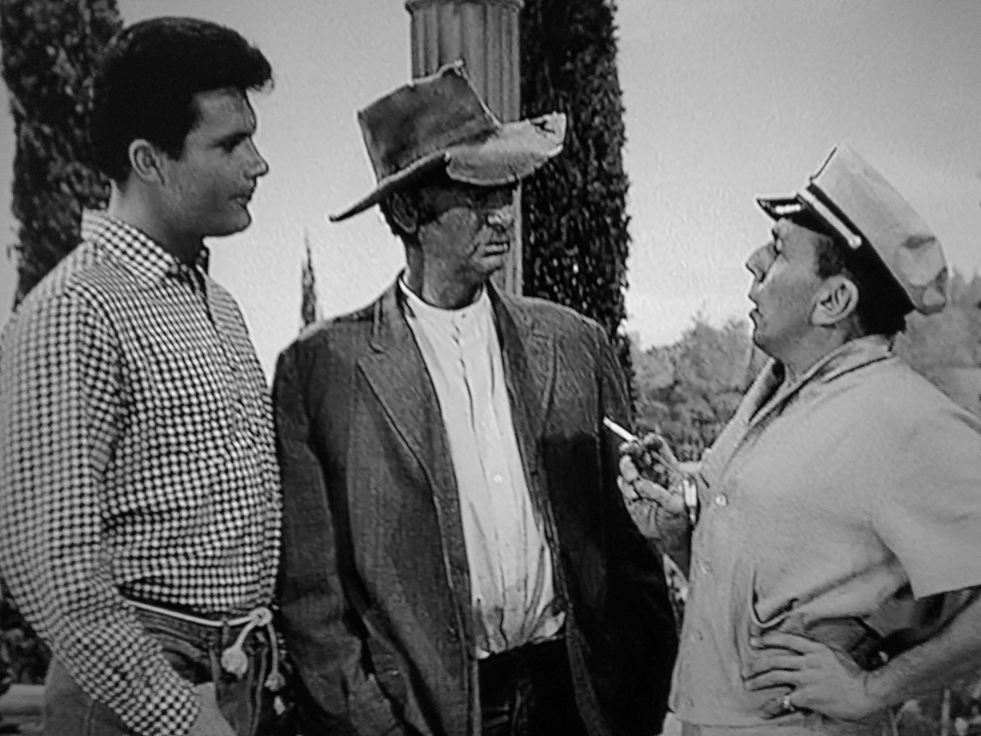 The Beverly Hillbillies (1962)