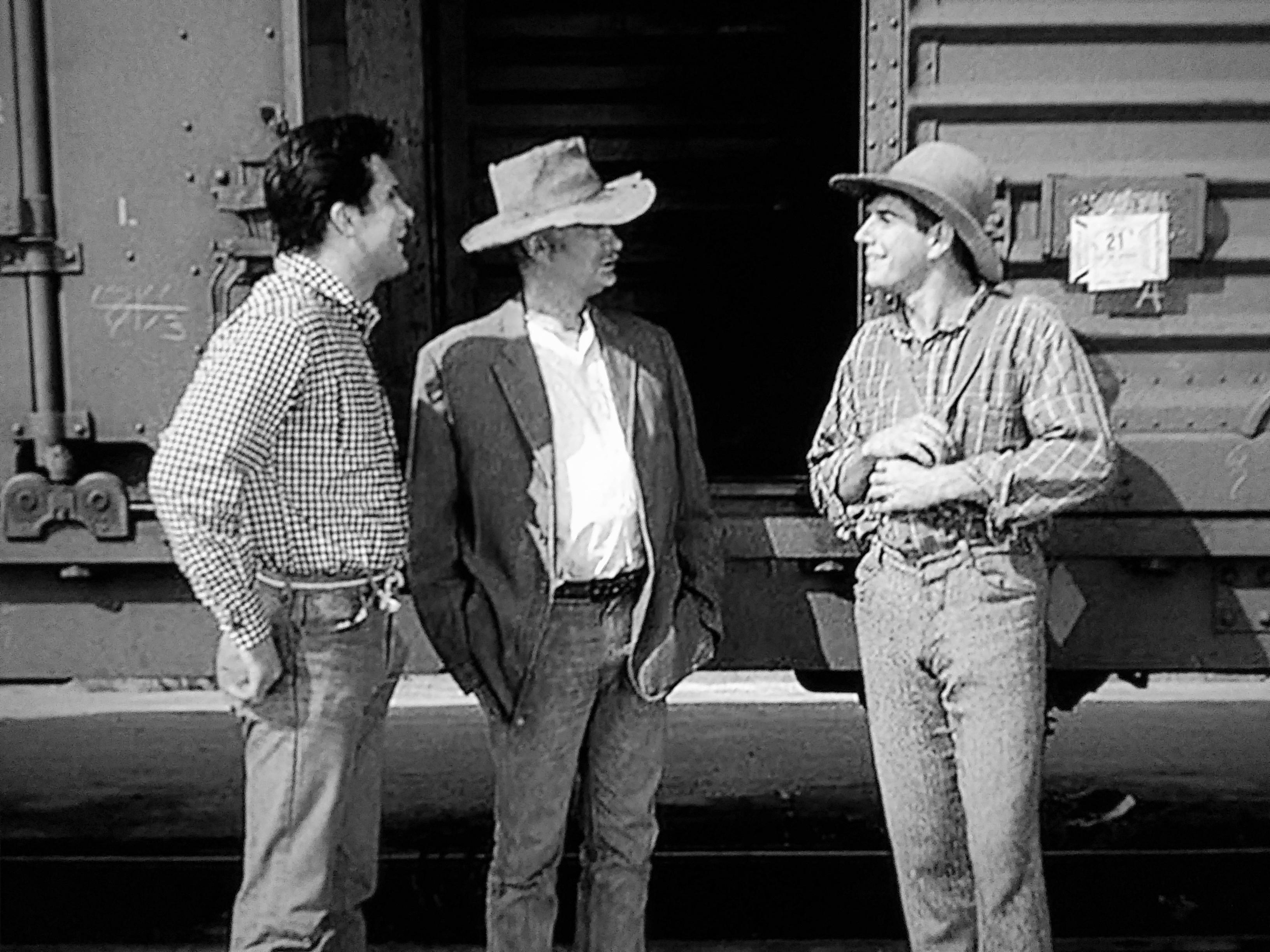 The Beverly Hillbillies (1962)