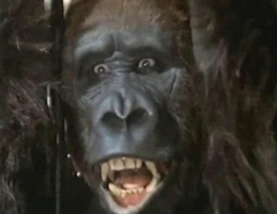 The Incredible Shrinking Woman (1981)