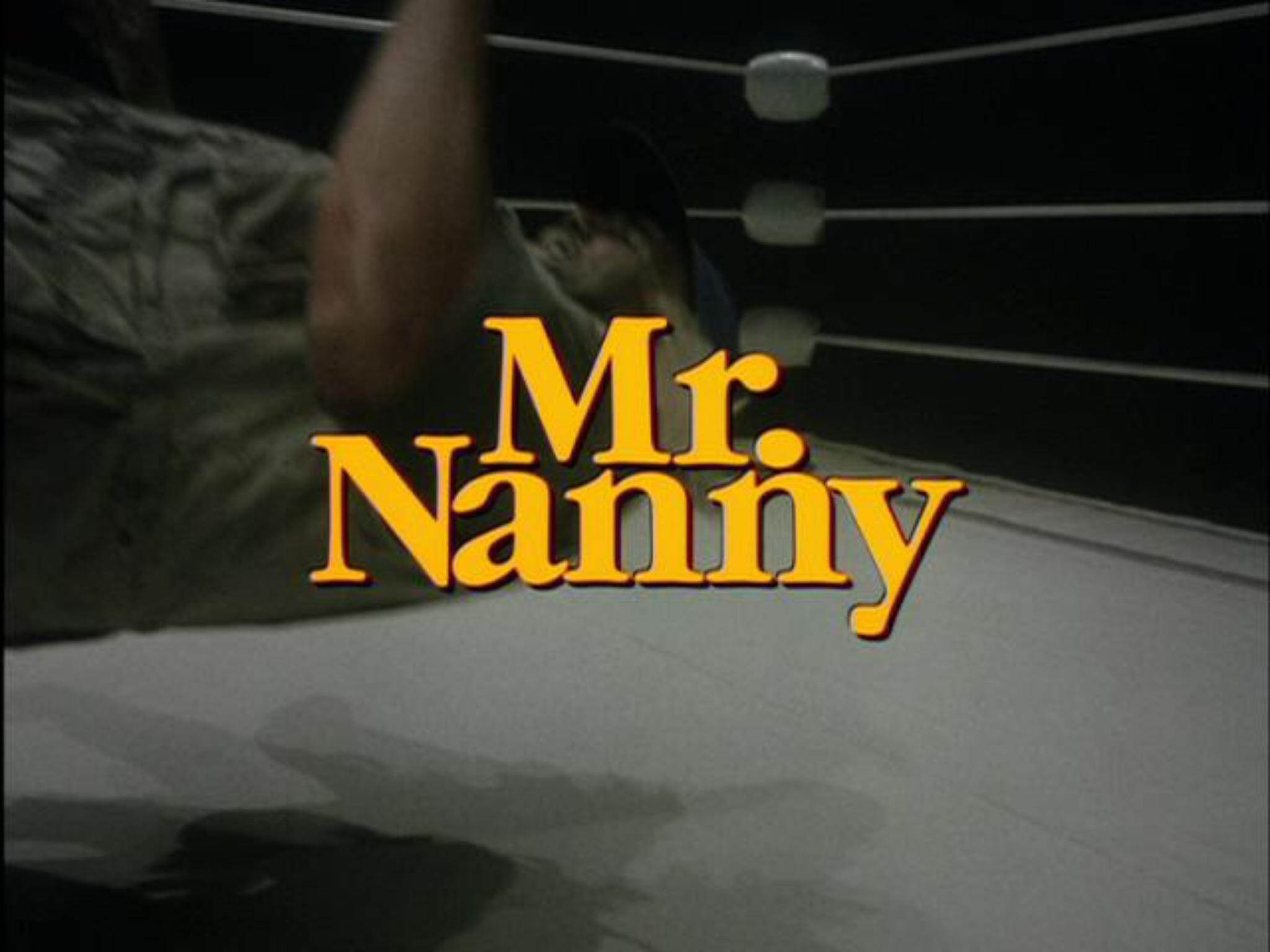 Mr. Nanny (1993)