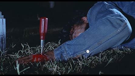 She Freak (1967) - IMDb