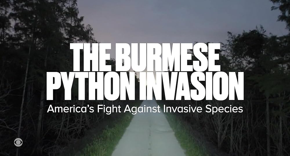 Burmese python invasion: Fighting invasive species (TV Special 2018) - IMDb