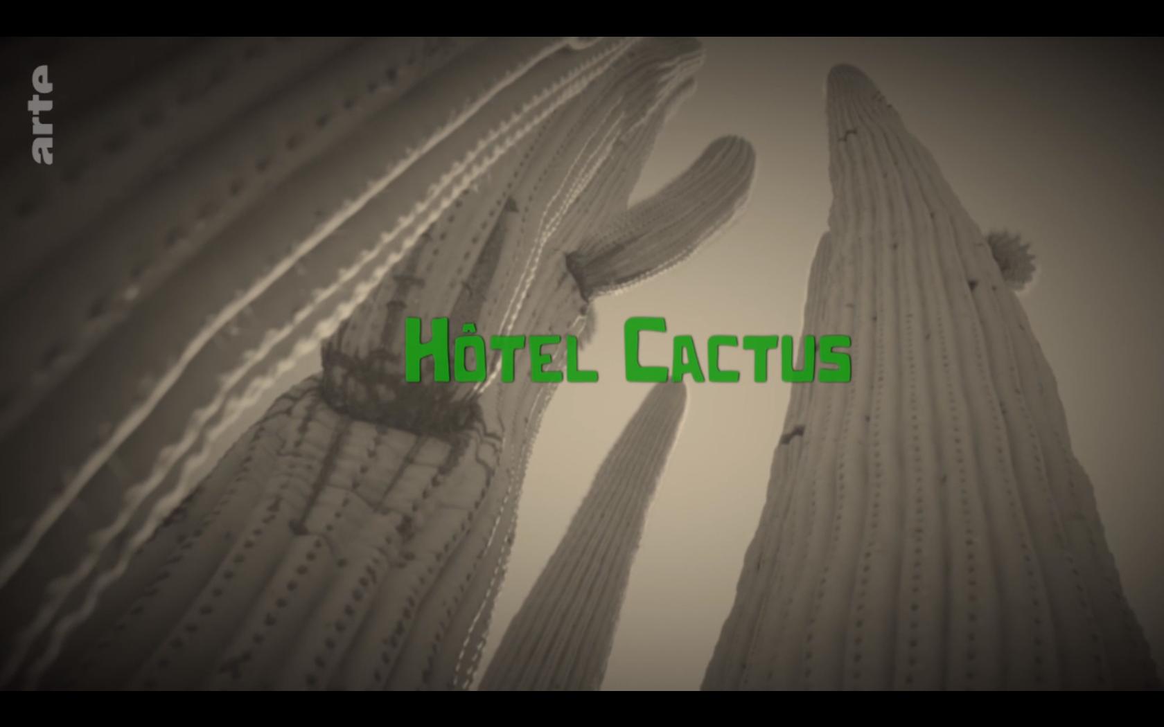 Cactus Hotel (2023)