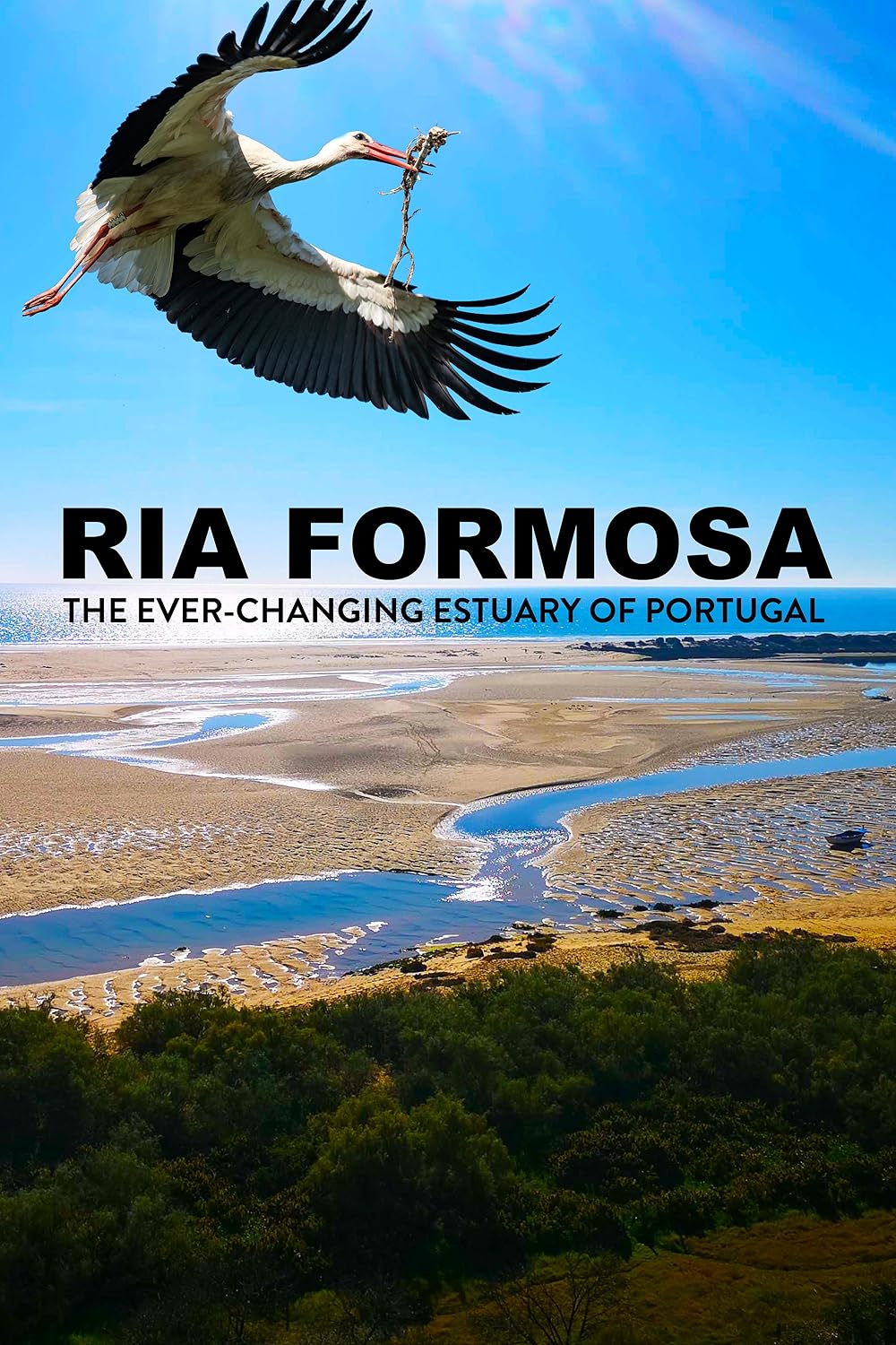 Ria Formosa: The Ever-Changing Estuary of Portugal (2023) - IMDb