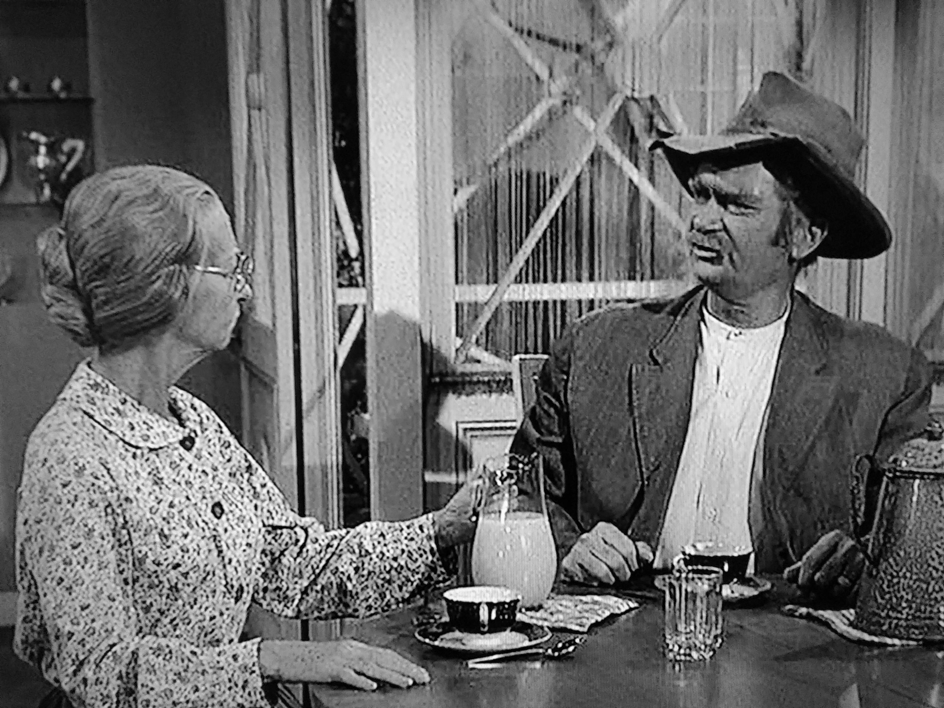 The Beverly Hillbillies (1962)