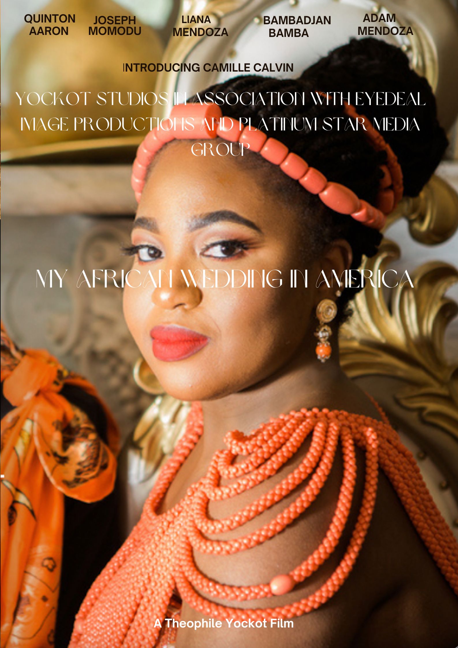 My African Wedding in America