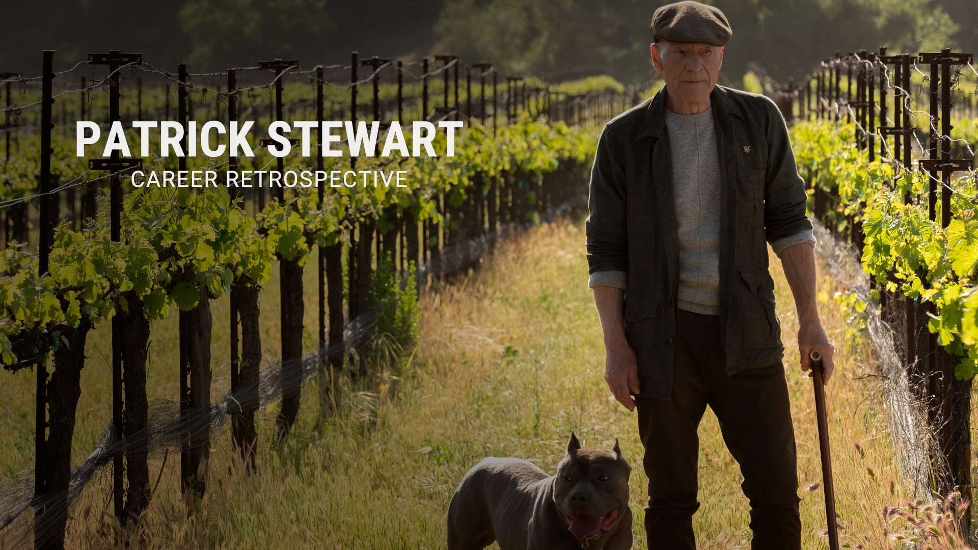 Patrick Stewart | Career Retrospective