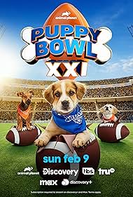 Puppy Bowl XXI (TV Special 2025) - IMDb