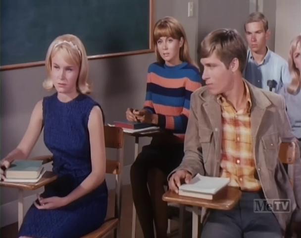 My Three Sons (1960)