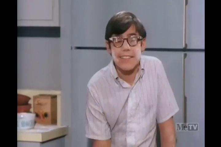 My Three Sons (1960)