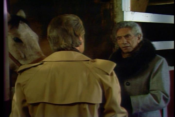 The Godfather (1981)