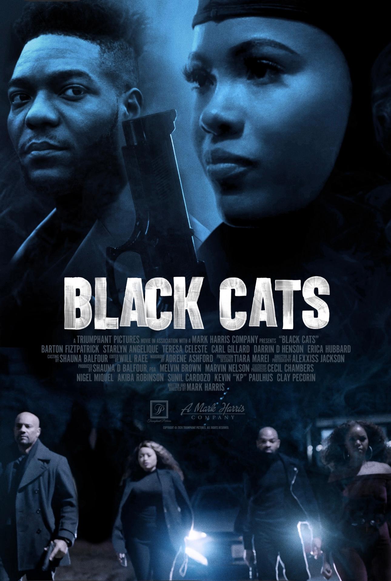 Black Cats, White Mice (2025)