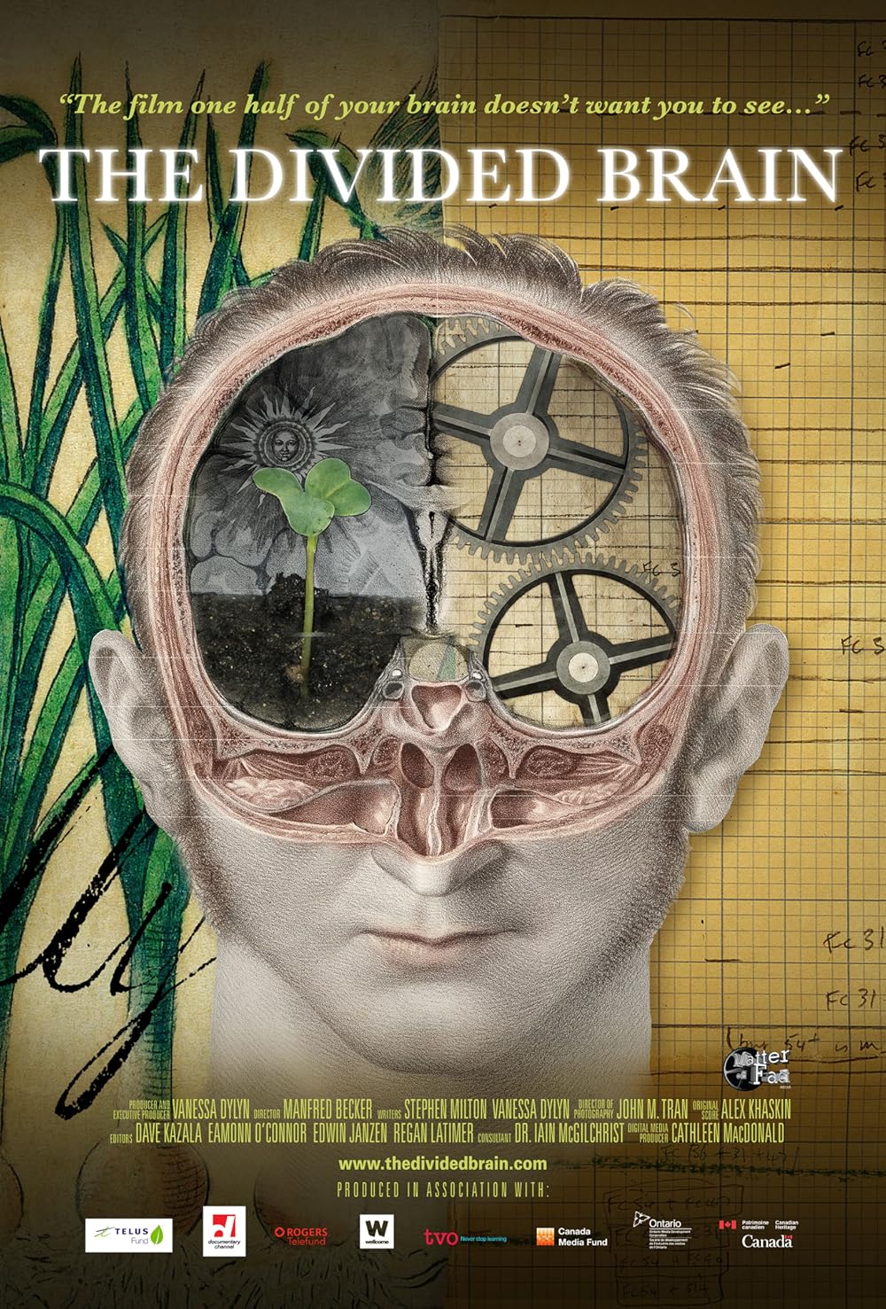 The Divided Brain (2019) - IMDb