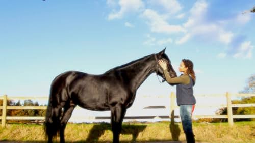 Free Rein (TV Series 2017–2019) - Episode list - IMDb